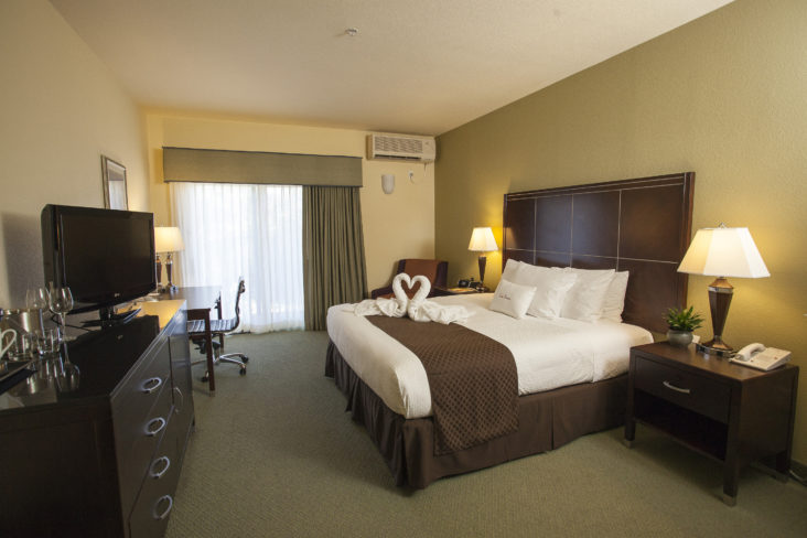 DoubleTree by Hilton Hotels: 10 Most Popular Locations and 13 Best ...