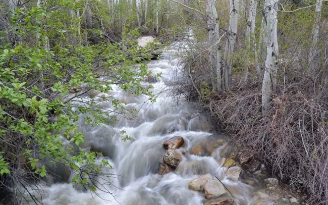 The Ultimate Guide to Great Basin National Park [2026]