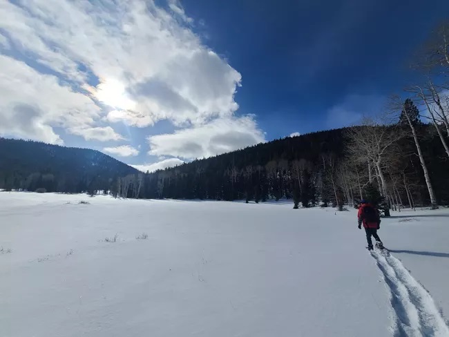 The Ultimate Guide to Great Basin National Park [2026]