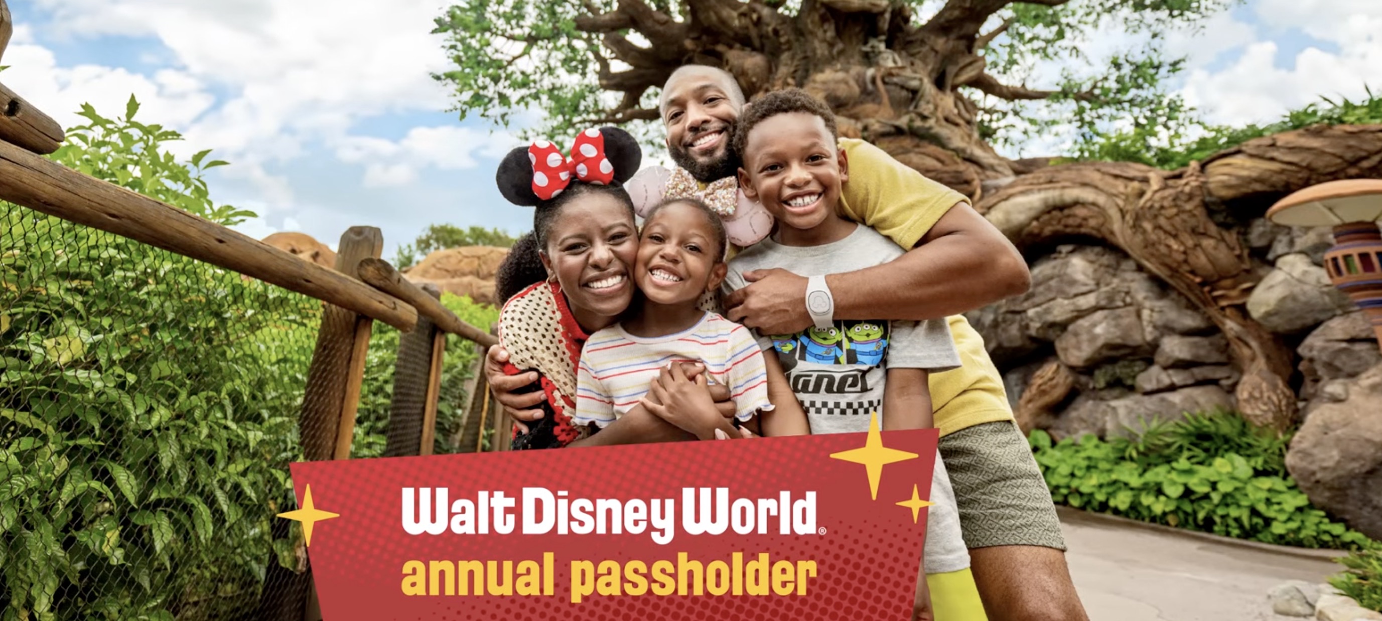 Disney World's New Annual Passes: Everything You Need To Know